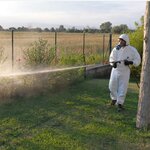 New Ecoservice Spurgo Fognature Napoli H24 (Via Domenico Cimarosa No:21, Giugliano in Campania), sıhhi tesisat hizmetleri  Varcaturo'dan
