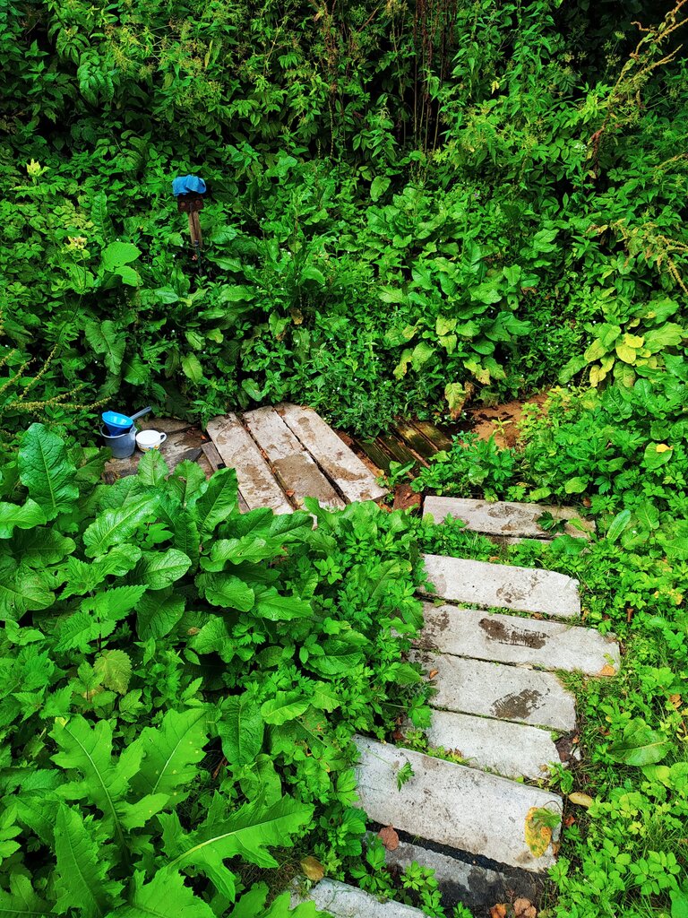 Kuyu Well, Grodnenskaya oblastı, foto