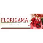 Florigama (Comunidad Autónoma de Castilla-La Mancha, Cuenca), çiçek teslimatı  Cuenca'dan
