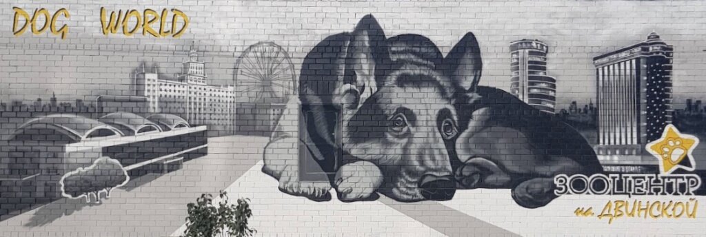 Evcil hayvan kuaförleri Трио, Çeliabinsk, foto