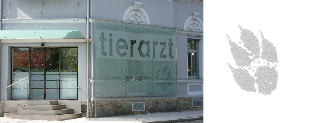 Veteriner klinikleri Tierarztpraxis Puchstrasse E. U., Graz, foto