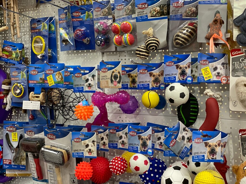 Petshop Izoo.by, Minsk, foto