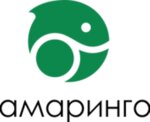 Amaringo LLC (Konnogvardeyskiy Boulevard No:3), mühendislik firmaları  Saint‑Petersburg'dan