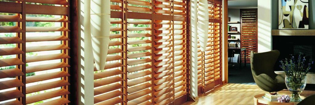 Pencere aksesuarları Bugsy's Blinds & Custom Shutters, Nevada Eyaleti, foto