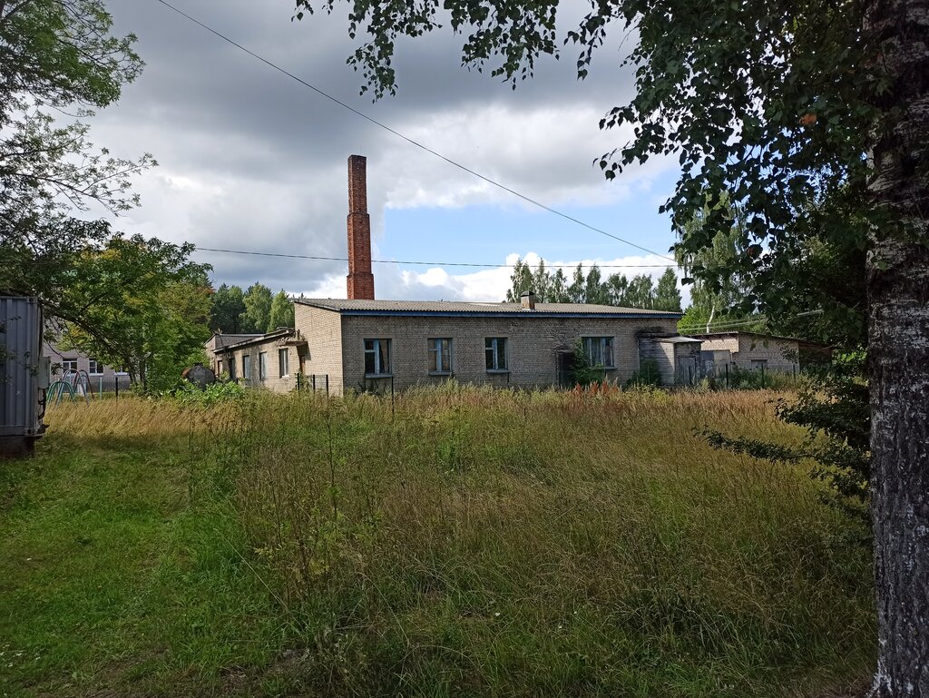 Merkezi ısıtma sistemleri Теплоснабжение, Pskovskaya oblastı, foto