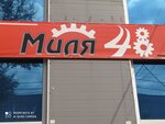 Mily-48 (Rabochiy posyolok No:5), otomobil yedek parçaları  Yelets'ten