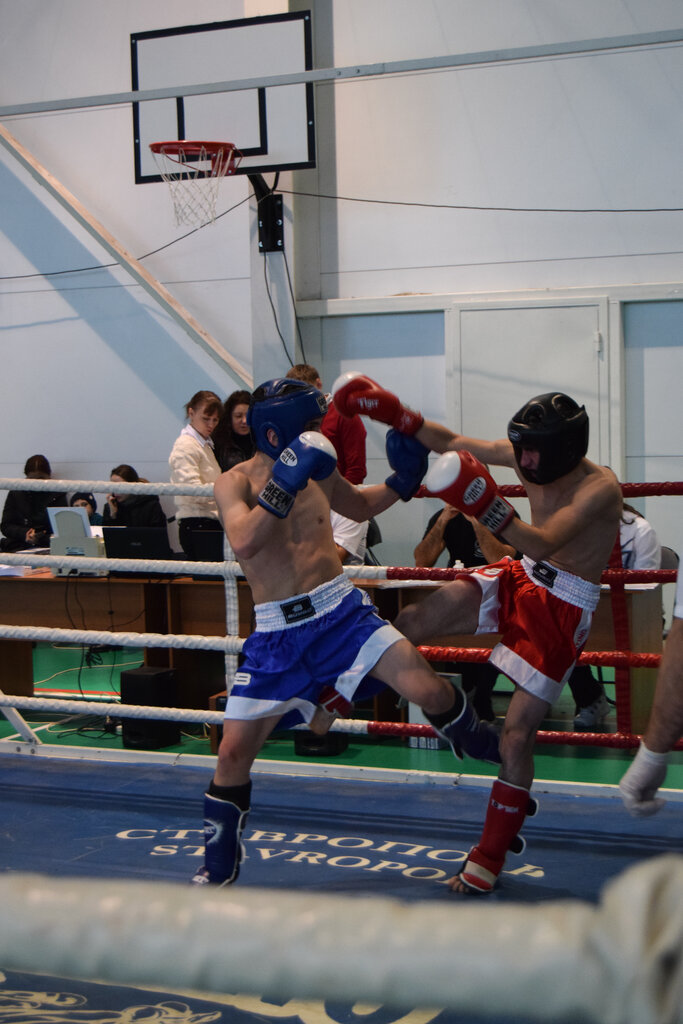 Spor kurumları Kick-Fight, Stavropol, foto