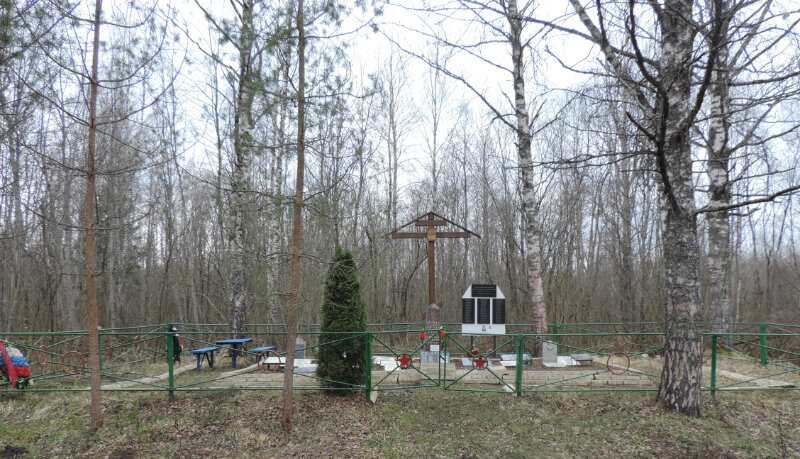 Anıt, heykel Кладбище советских воинов, 1942-1943 гг. д. Черенчицы, Novgorodskaya oblastı, foto