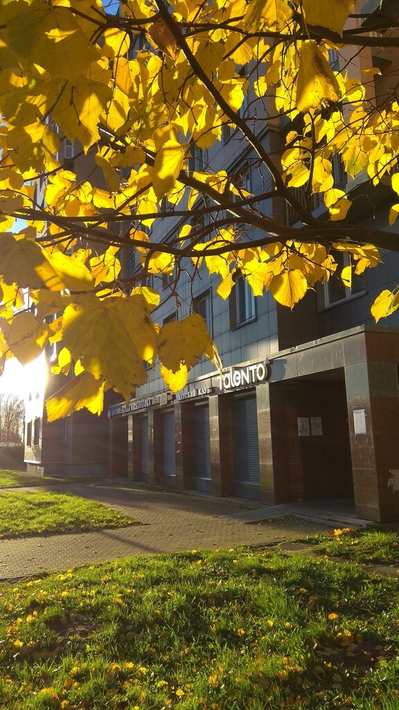 Çocuk gelişim merkezleri Detsky klub Talento, Saint‑Petersburg, foto