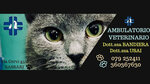 Ambulatorio Veterinario Bandiera - Usai (Sardinia, Sassari), veteriner klinikleri  Sassari'den