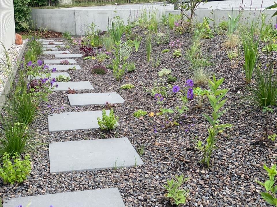 Peyzaj tasarımı Peter Rentzsch Garten- u. Landschaftsbau, Dresden, foto