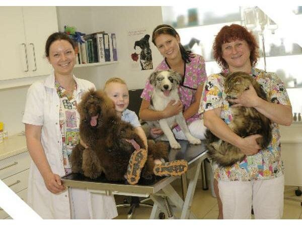 Veteriner klinikleri Tierarztpraxis Palme, Aşağı Avusturya, foto