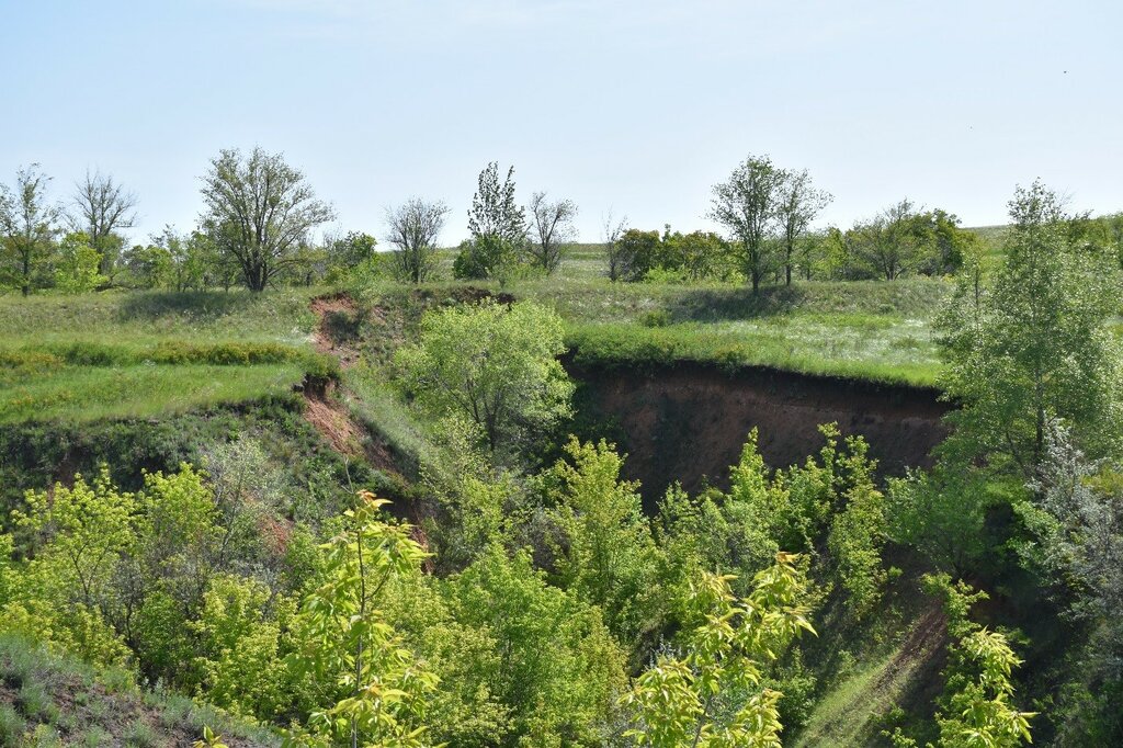 Doğa Алексеевский овраг, Orenburgskaya oblastı, foto