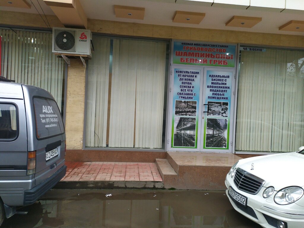 Mantar yetiştirme ve satış Биогриб, Taşkent, foto
