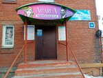 Planeta (ulitsa Rabochego Shtaba No:36), temizlik şirketleri  Irkutsk'tan