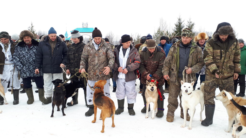 Avcılar ve balıkçılar Охотничье-гостевой дом Волчье логово, Çuvaşya, foto