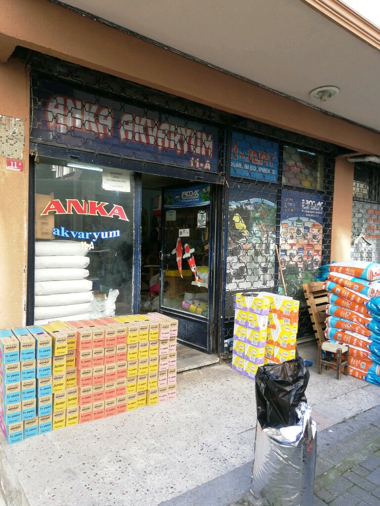 Akvaryumlar Anka Akvaryum, İstanbul, foto