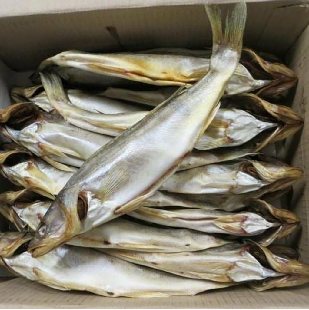 Bira dükkanı За Пивком, Stavropolski krayı, foto