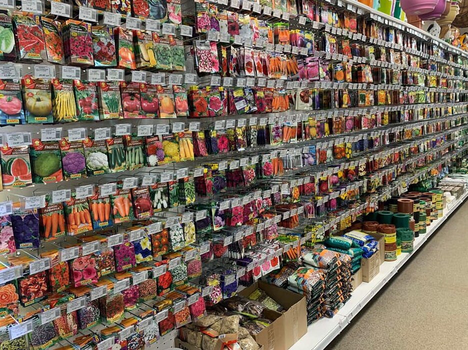 Tohum satan yerler Ailita, Moskova, foto