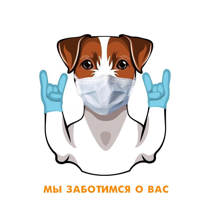 Petshop Online Petshop, Tomsk, foto