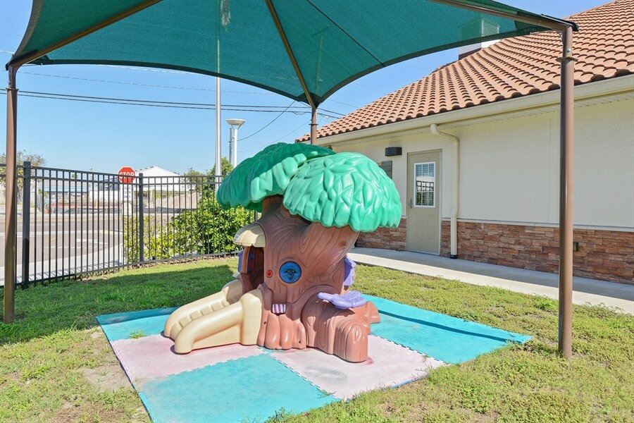 Ortaokul Primrose School of South Tampa, Tampa, foto