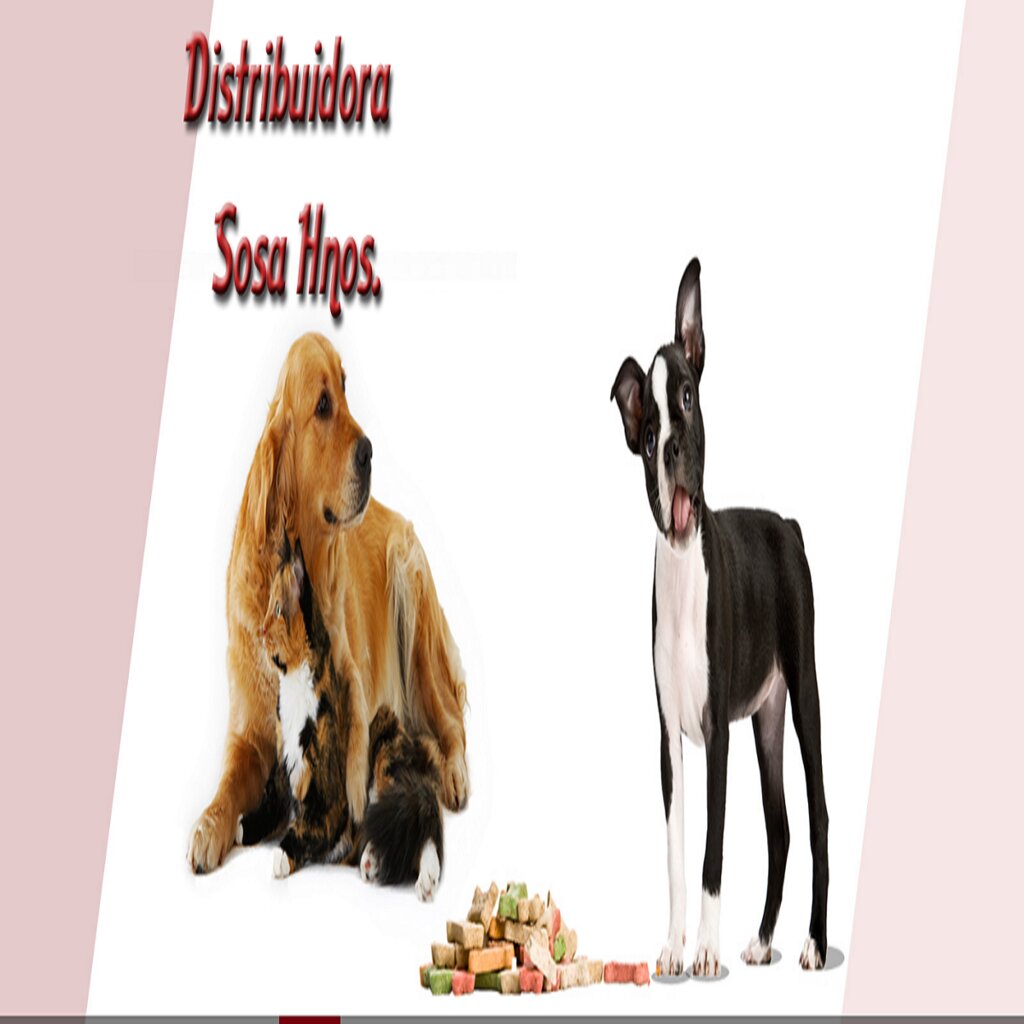 Süpermarket Distribuidora Sosa Hnos, , foto