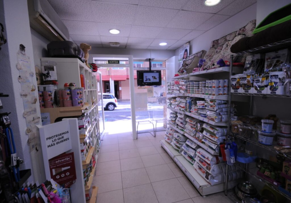 Veteriner klinikleri Nou Premia, Katalonya, foto