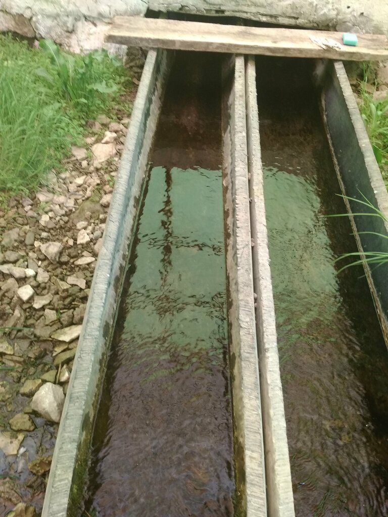 Pınar, çay Тау асты чишмэсе, Tataristan, foto