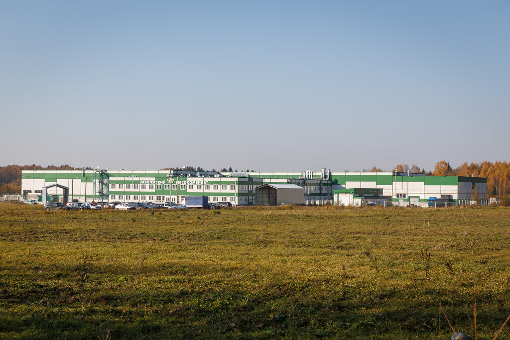 Kasap, şarküteri Заволжский. Настоящий мясной, Tver, foto