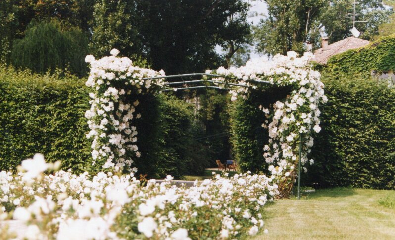 Peyzaj tasarımı Garden Line, Emilia‑Romagna, foto