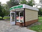 Ovoshchnoy magazin (Кузнецкстроевский проспект No:20А), manavlar  Novokuznetsk'ten
