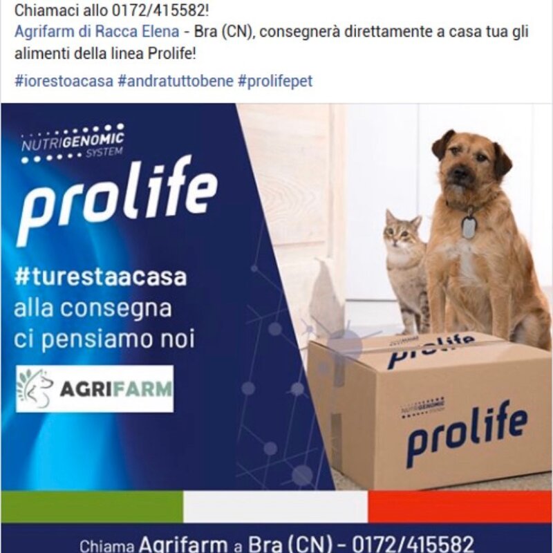 Hayvancılık Agrifarm - Racca Elena - Servizi per Animali Domestici, Piyemonte, foto