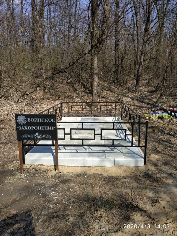 Anıt, heykel Братская могила, Lipetskaya oblastı, foto