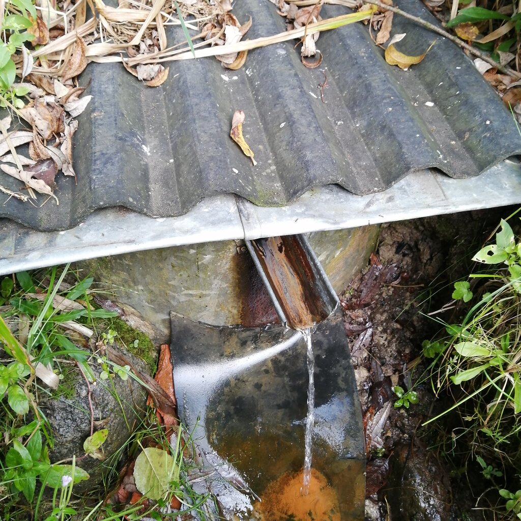 Pınar, çay Калинино, Mogiliovskaya oblastı, foto