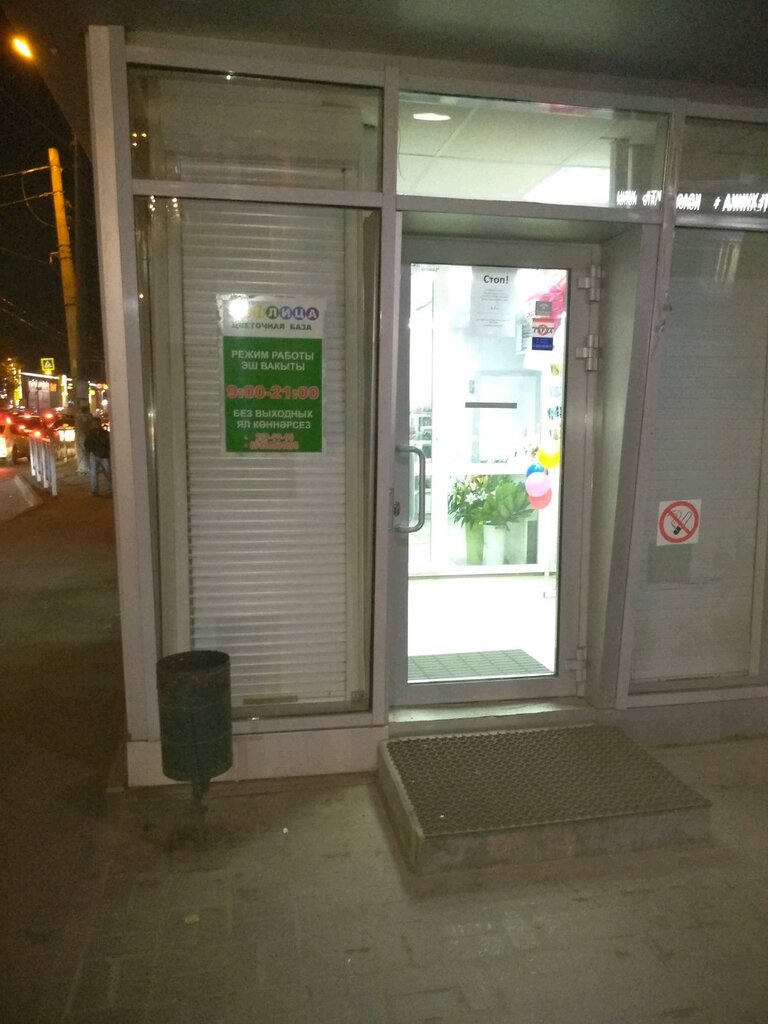 Çiçek teslimatı Теплица, Kazan, foto