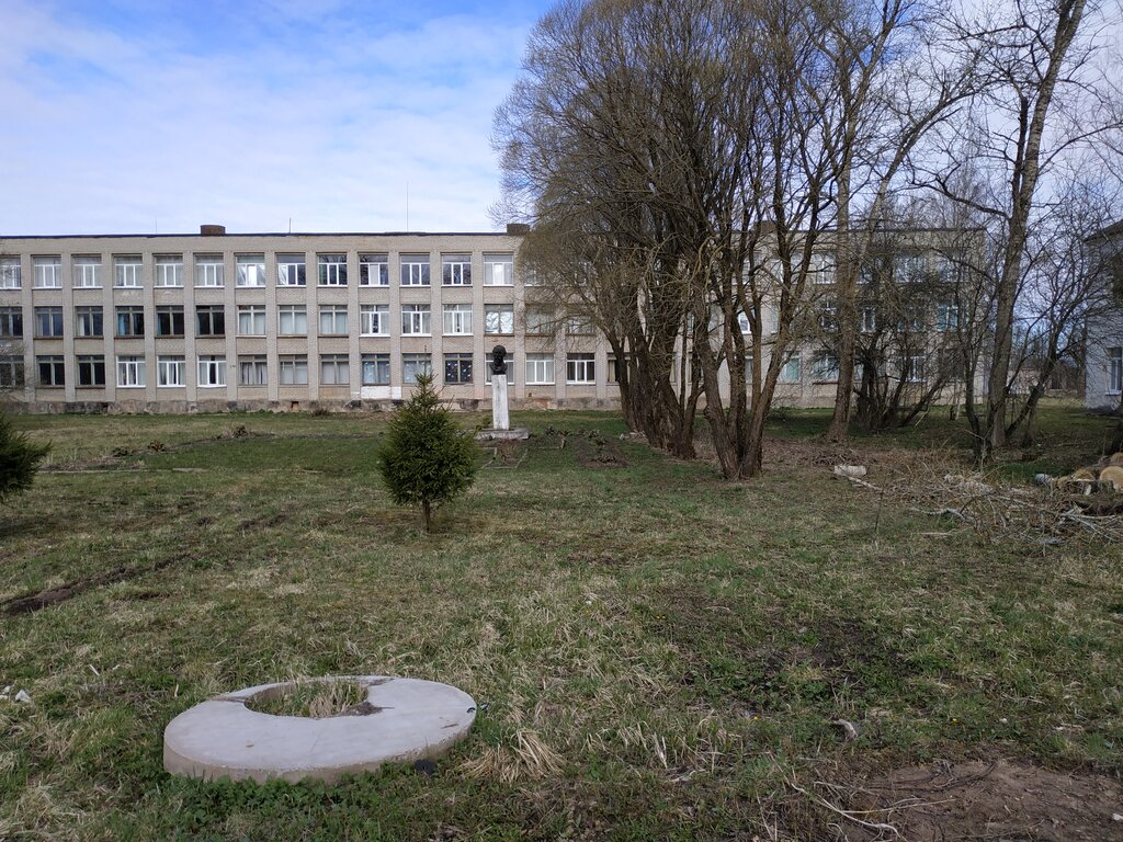 Anıt, heykel Н.А. Некрасов, Chudovo, foto