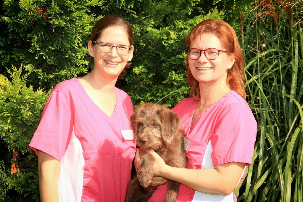Evcil hayvan kuaförleri TGZ-Tiergesundheitszentrum GmbH Dr. med. vet. Birgit Dastig, Steiermark, foto
