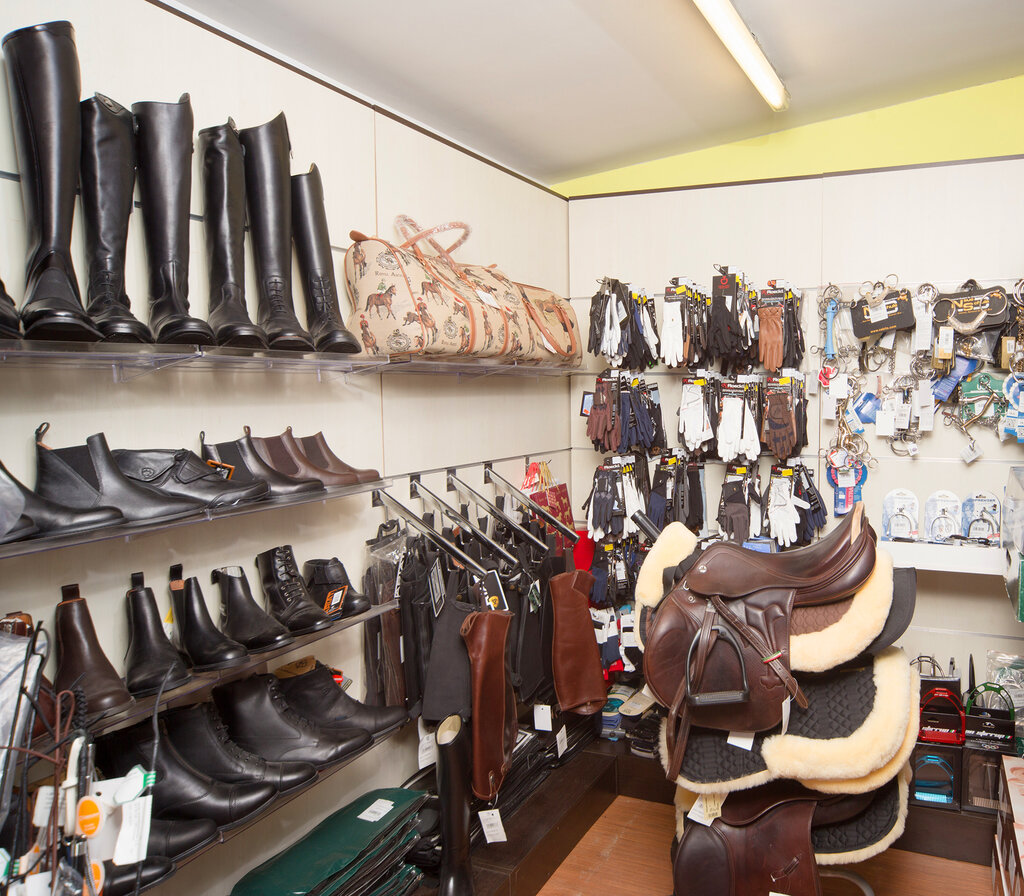 Binicilik ürünleri Sport Technology, Moskova ve Moskovskaya oblastı, foto