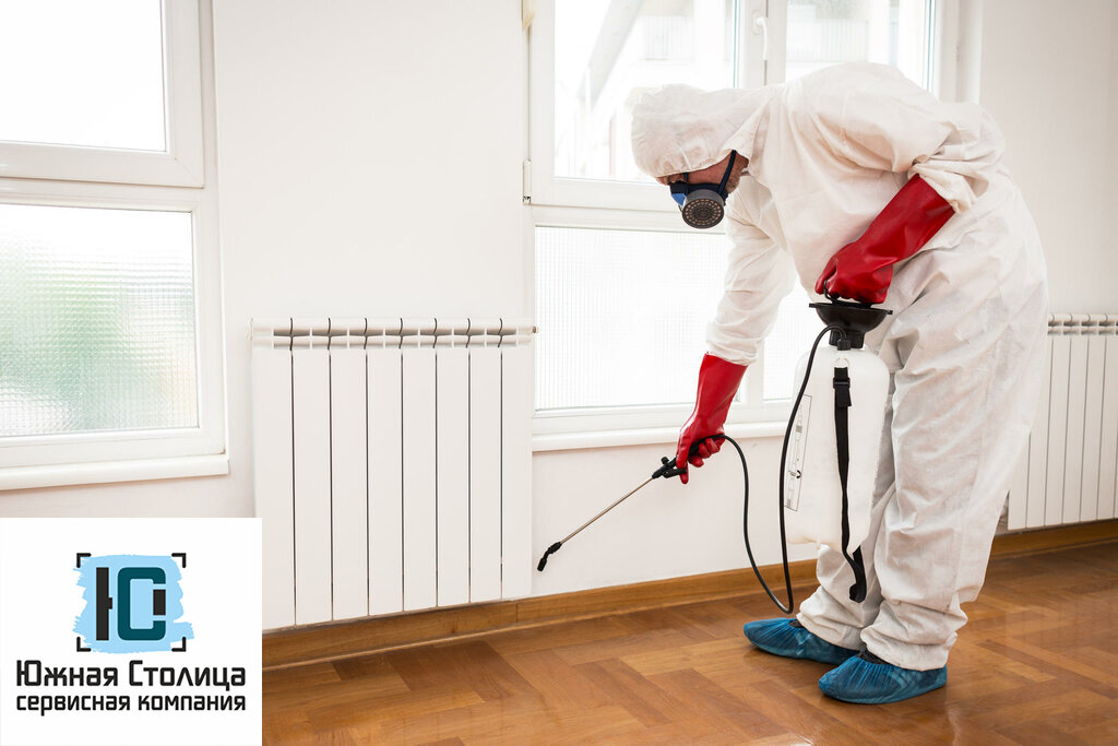 Haşere ilaçlama firmaları Единая Городская Служба Дезинсекции, Soçi, foto