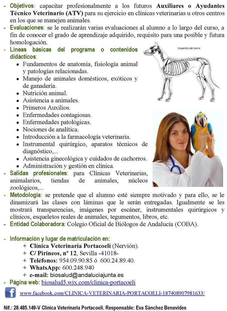 Ortaokul Formación Veterinaria Portacoeli, Sevilla, foto