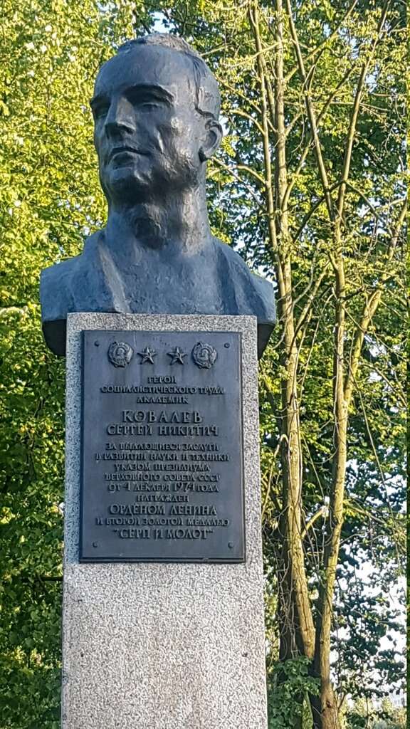 Anıt, heykel Дважды Герой Социалистического труда Сергей Никитич Ковалёв, Saint‑Petersburg, foto