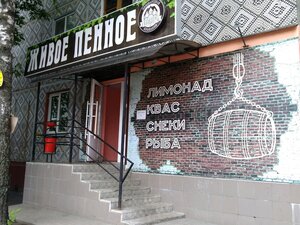 Magazin piva (Aviatsionnaya ulitsa No:16), bira dükkanı  Briansk'tan