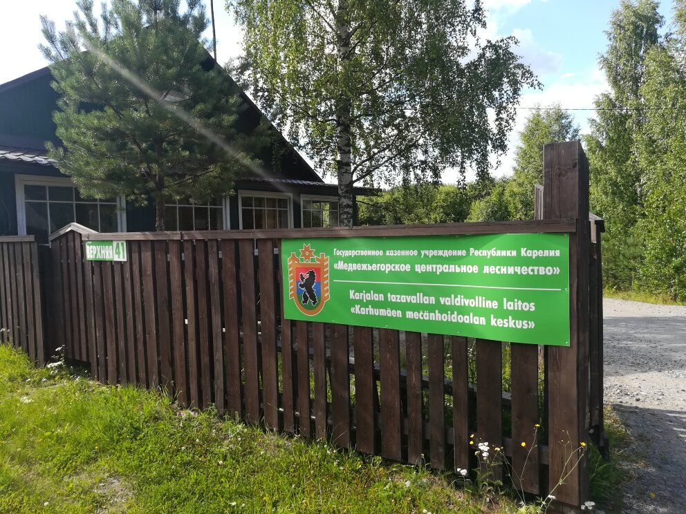 Orman işleri Lesnichestvo Tsentralnoye Medvezhyegorskoye, Gu Rk, Medvezhyegorsk, foto
