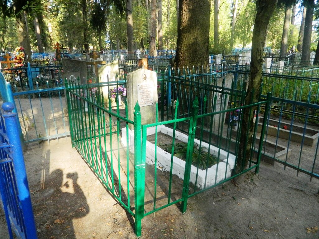 Ünlü kişilerin mezarları Командир Жуковского партизанского отряда Е. Воробьев, Diatkovo, foto