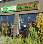 Mr. Садовод (Magistralnaya ulitsa No:140Б), sera ve bahçe ürünleri  Kizlyar'dan