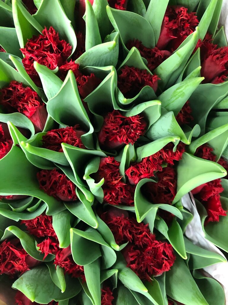 Çiçekçiler Цветы, Moskova, foto