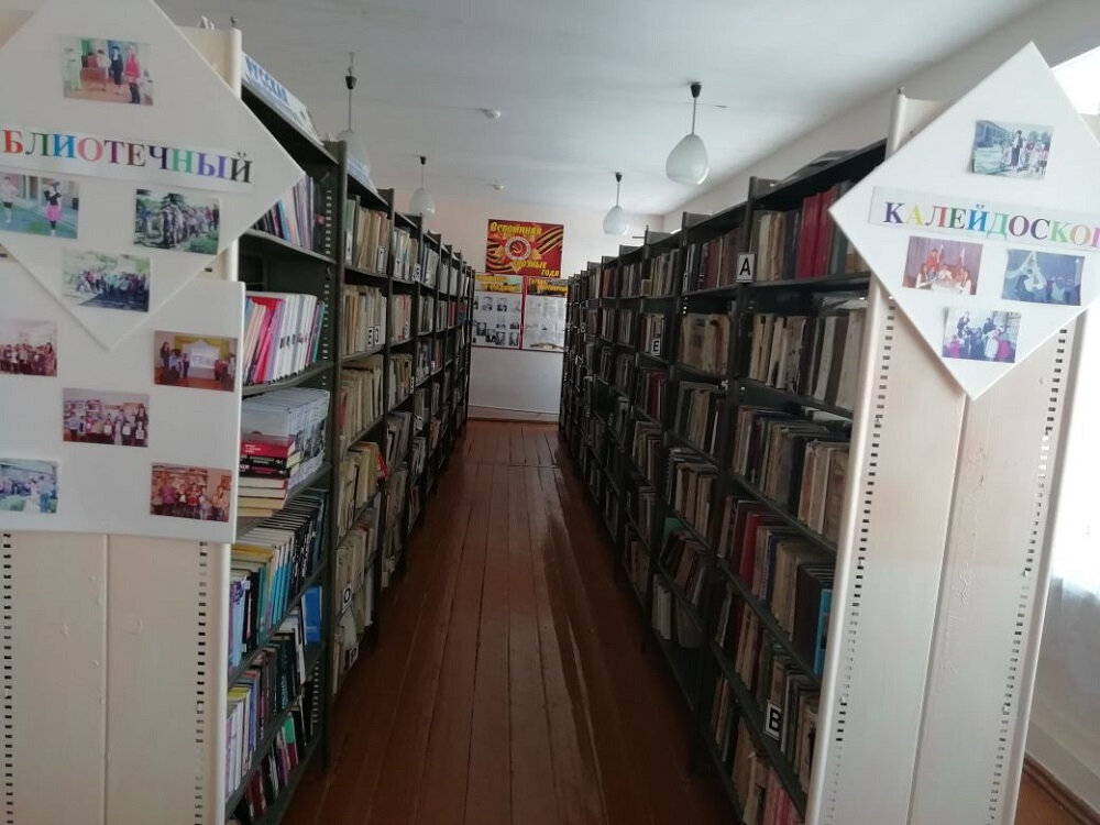 Kütüphaneler Библиотека с. Селезниха, Saratovskaya oblastı, foto