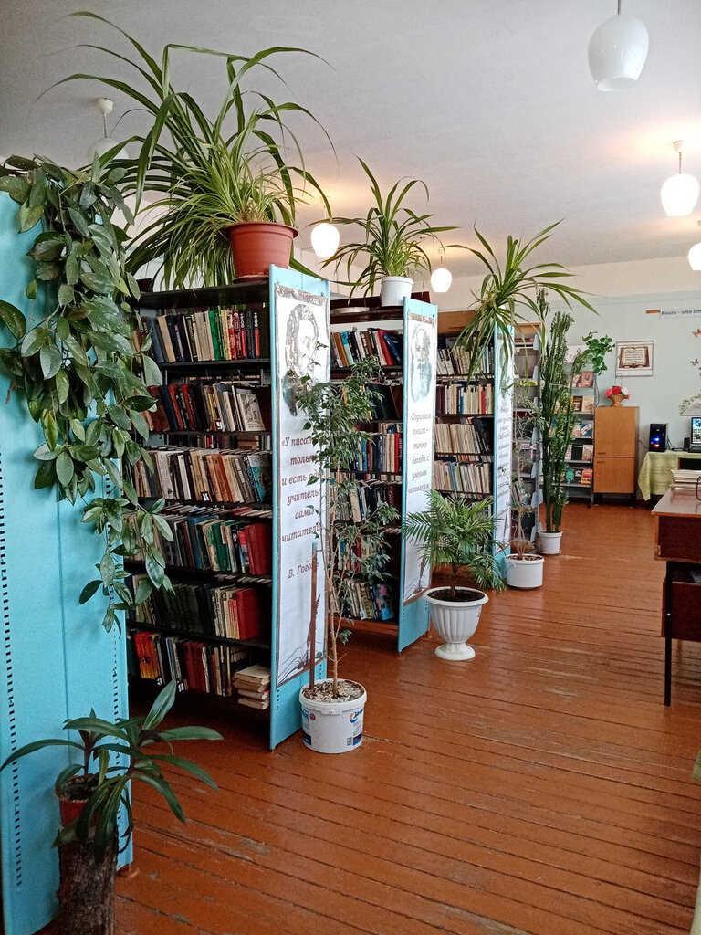 Kütüphaneler Библиотека с. Большая Сакма, Saratovskaya oblastı, foto