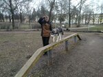 Dog park (Minsk, Malamiadzviezhynski square), köpek gezdirme alanları  Minsk'ten