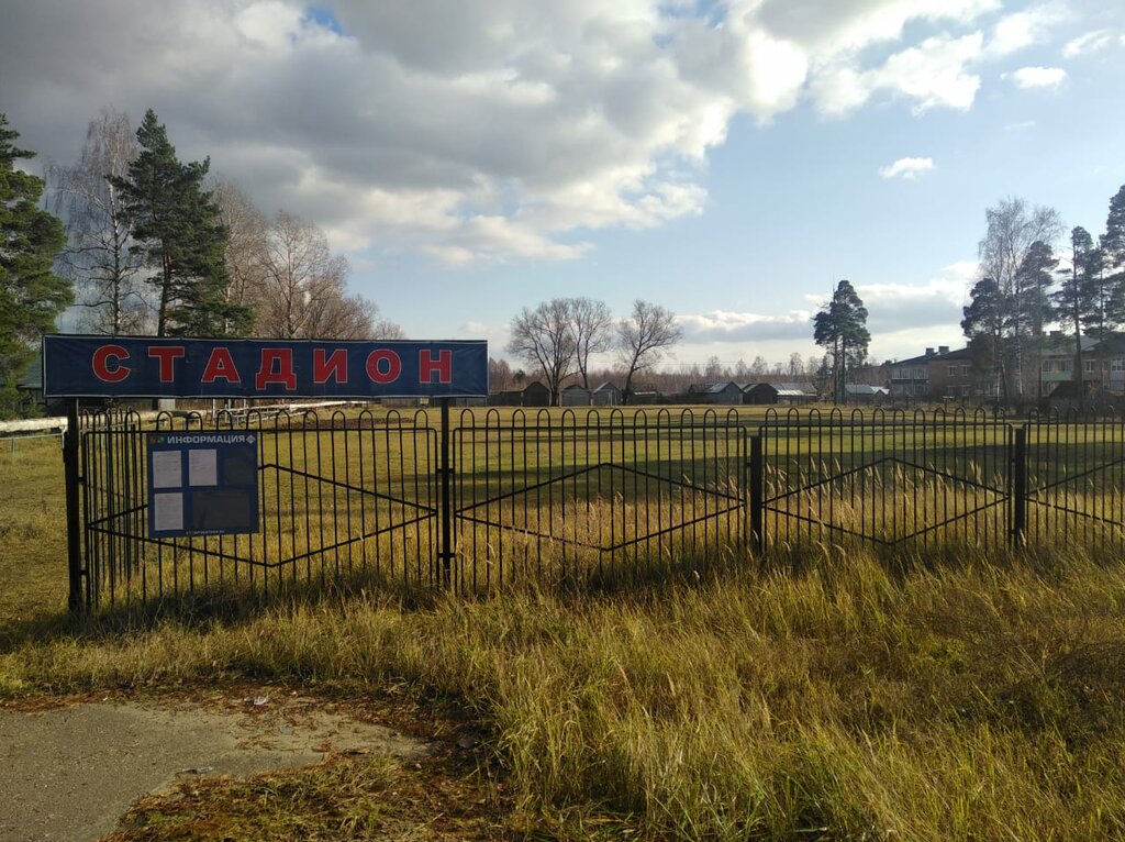 Spor alanı Футбольное поле, Moskova ve Moskovskaya oblastı, foto